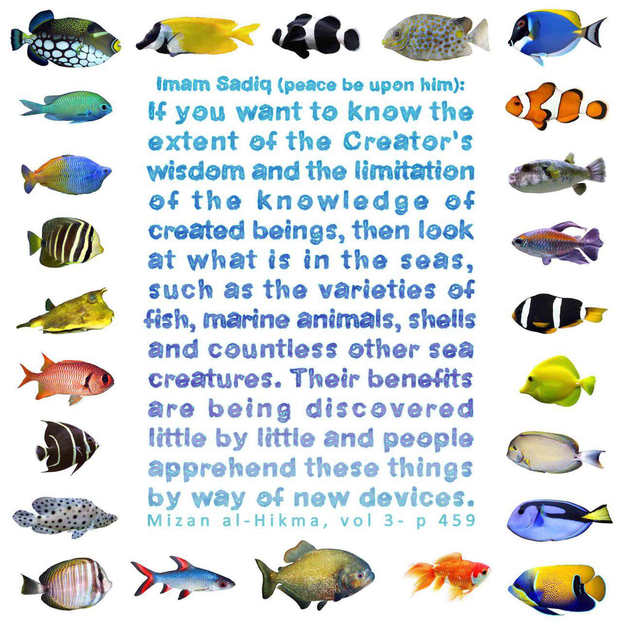 "If you want to know the extent of the Creator's wisdom and the ...